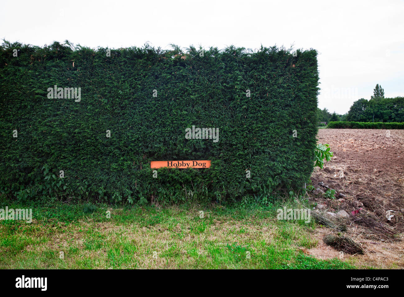 Hedge with sign in it Stock Photo - Alamy