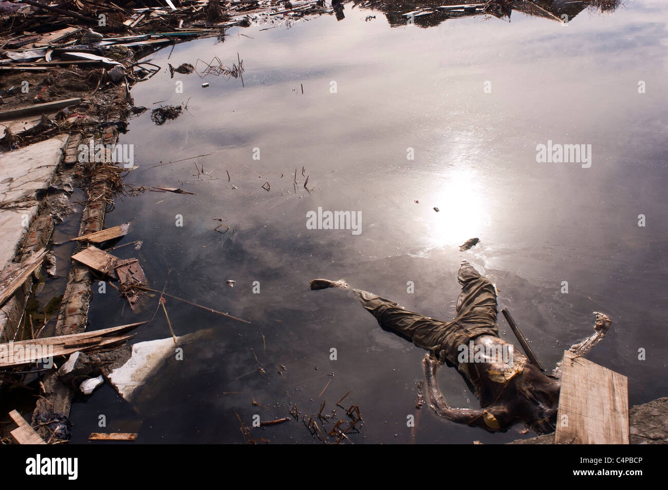 A corpse floats in a pool of water in the wreckage caused by the ...