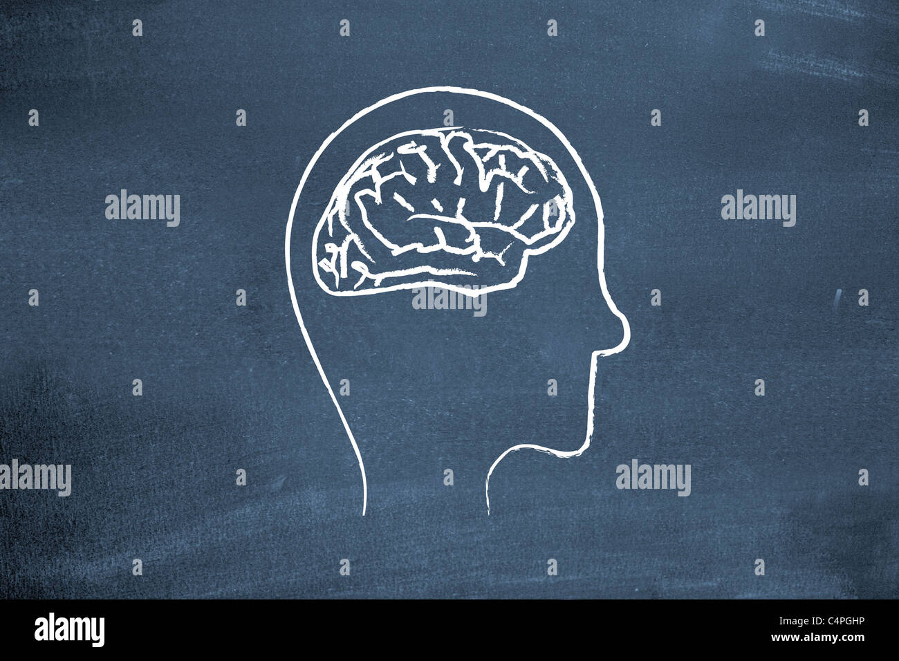 Philosophy Brain High Resolution Stock Photography and Images - Alamy