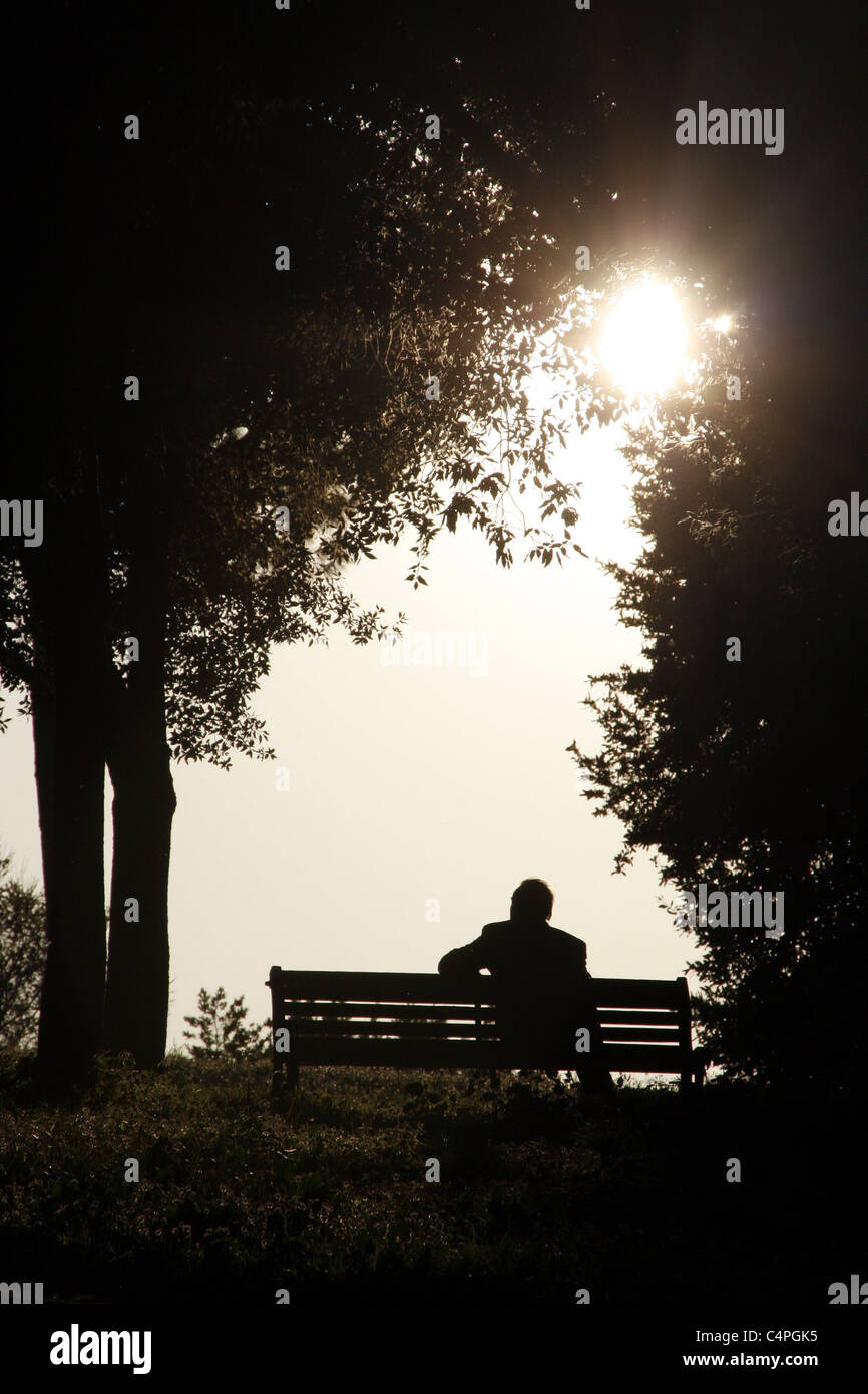 man sitting on park bench in woods forest in countryside at sunset ...