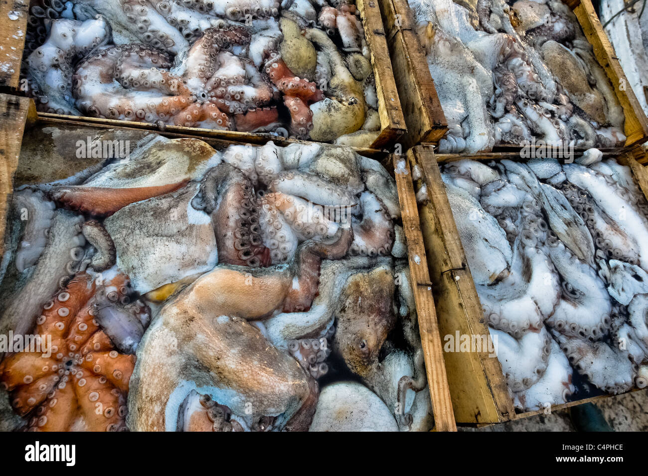 Crane octopus hi-res stock photography and images - Alamy