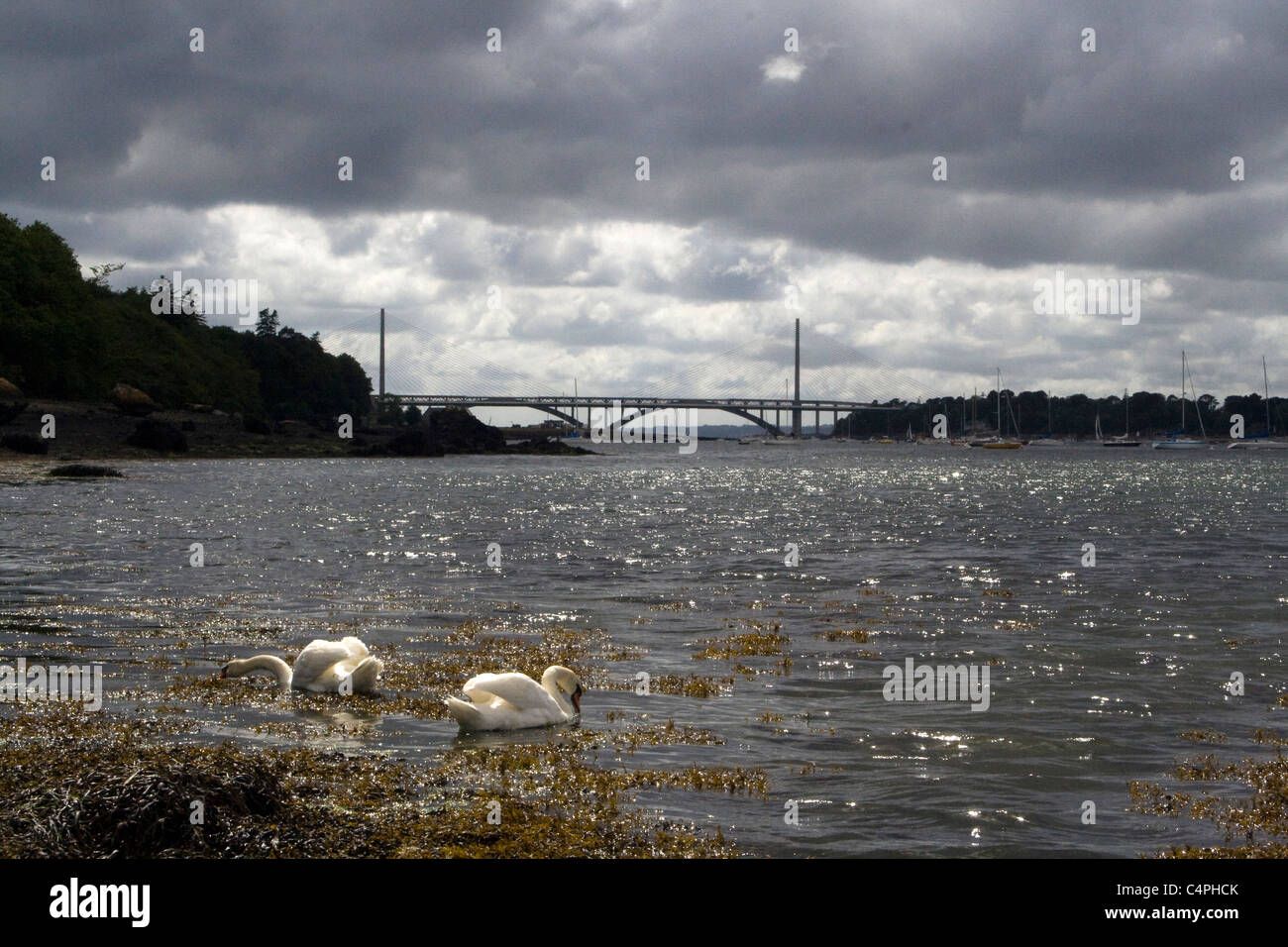 Plougastel bridge hi-res stock photography and images - Alamy