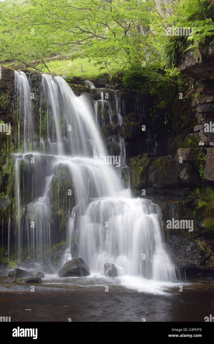 East Gill Force, waterfall, near Keld, Swaledale, Yorkshire Dales ...