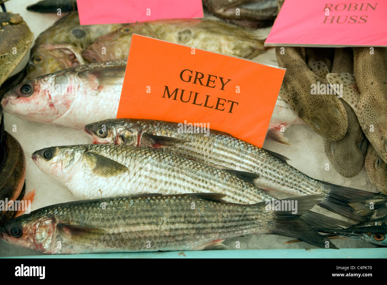 Fishmonger display of varieties of fish on ice table Stock Photo - Alamy