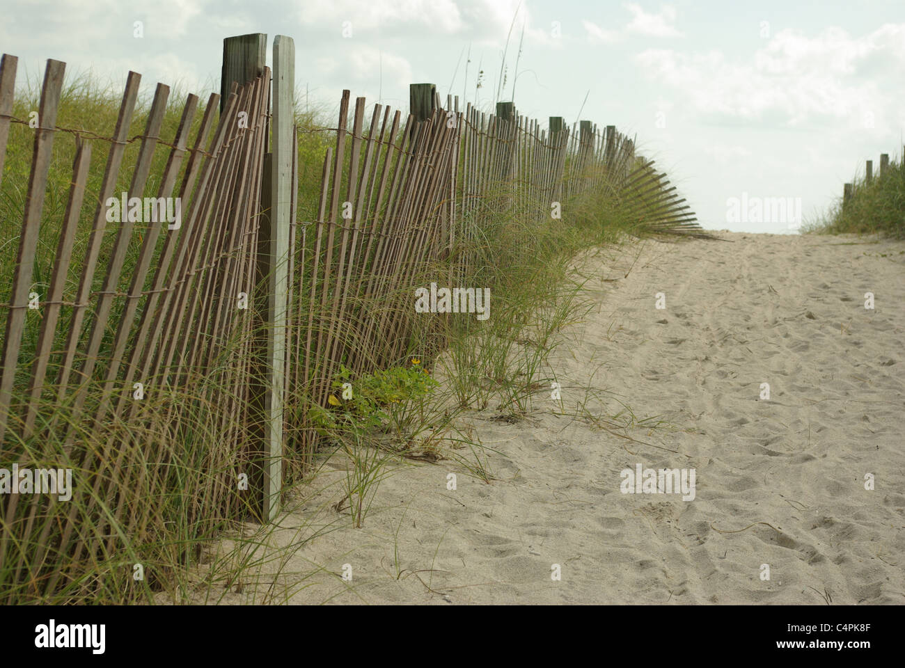 Weather-beaten cedar fence, South Beach, Miami, Florida, USA Stock ...