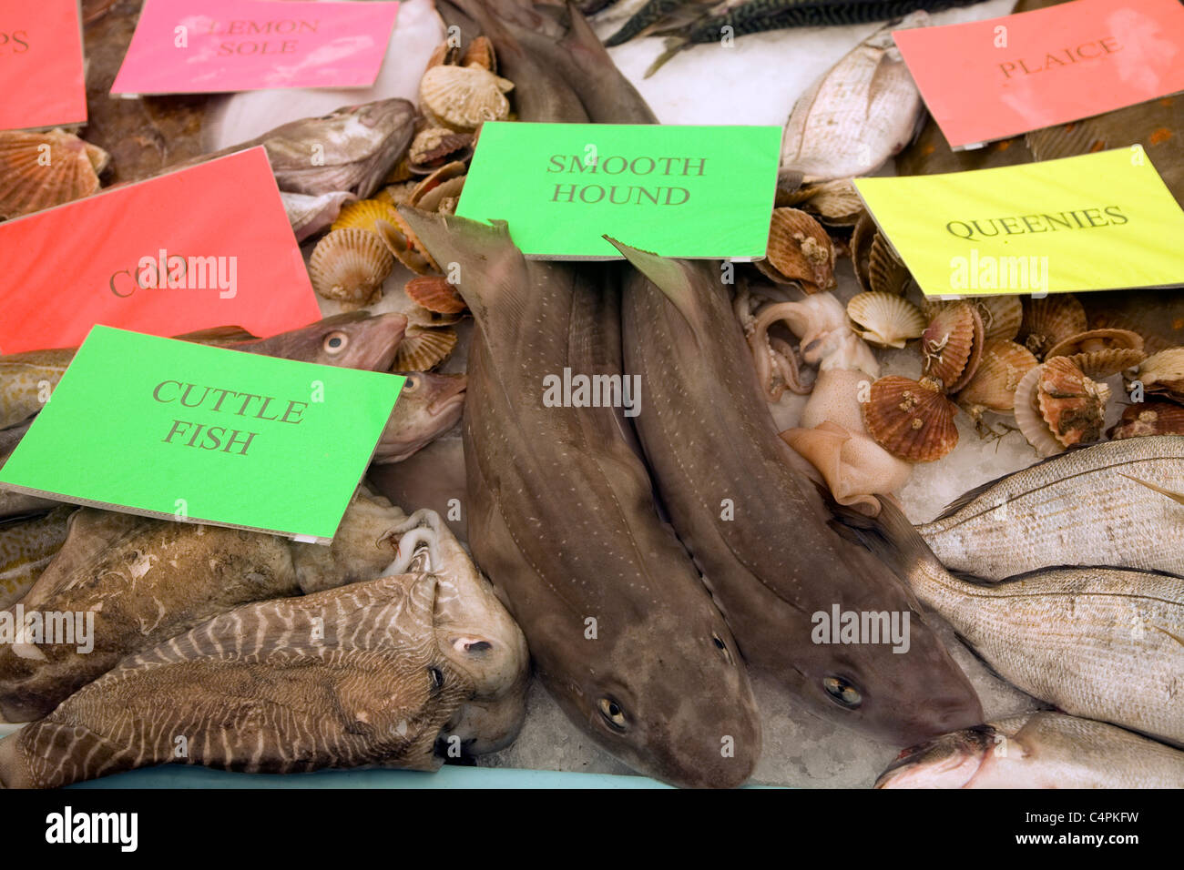 Fishmonger display of varieties of fish on ice table Stock Photo - Alamy