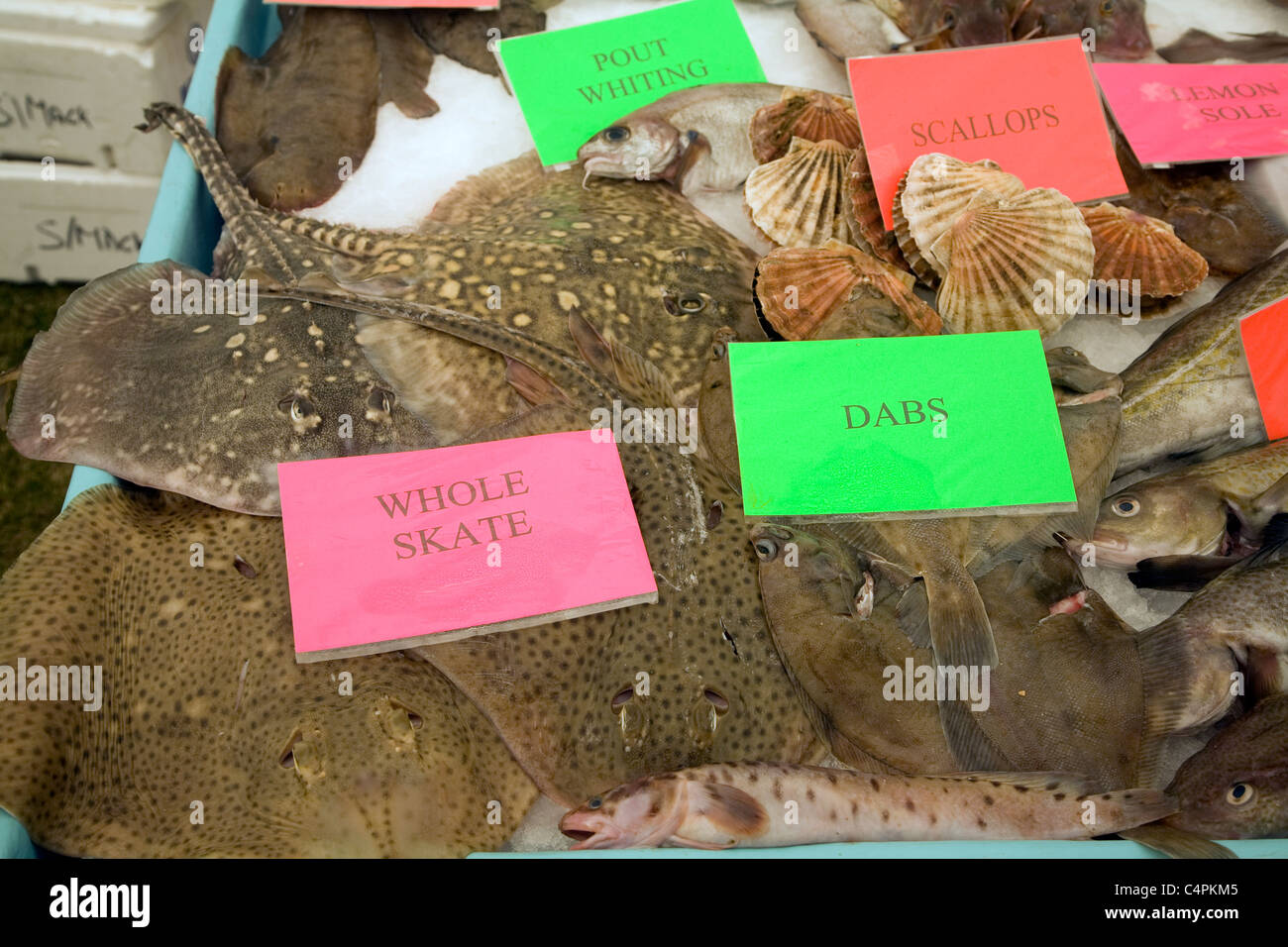 Fishmonger display of varieties of fish on ice table Stock Photo - Alamy