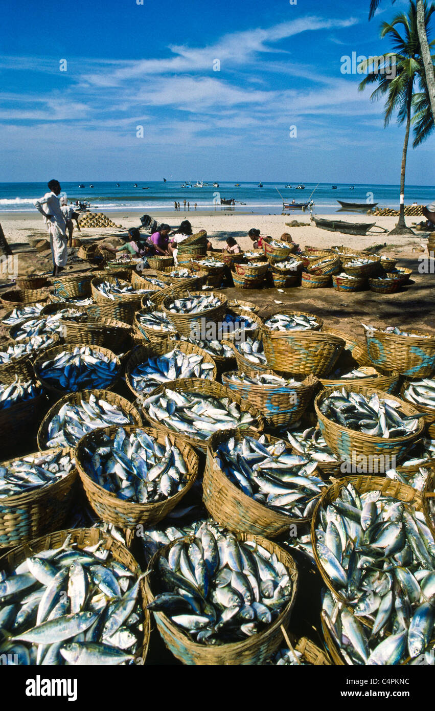 Fish baskets hi-res stock photography and images - Alamy