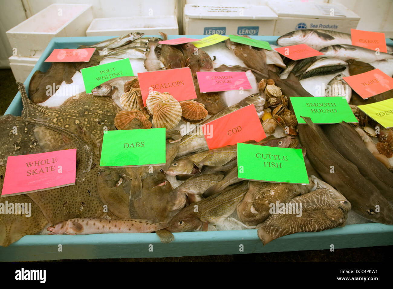 Fishmonger display of varieties of fish on ice table Stock Photo - Alamy