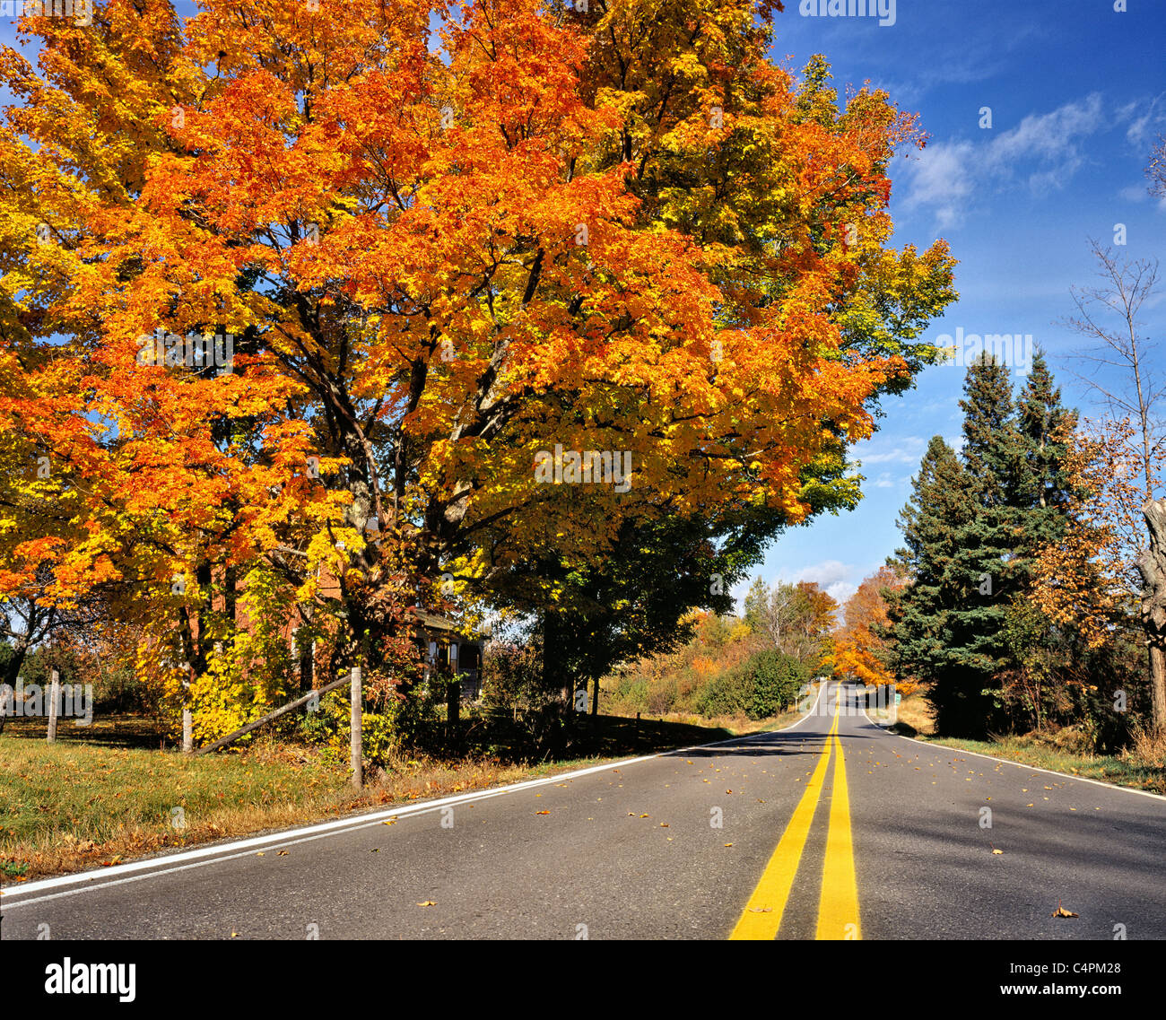 Indian summer canada hi-res stock photography and images - Alamy