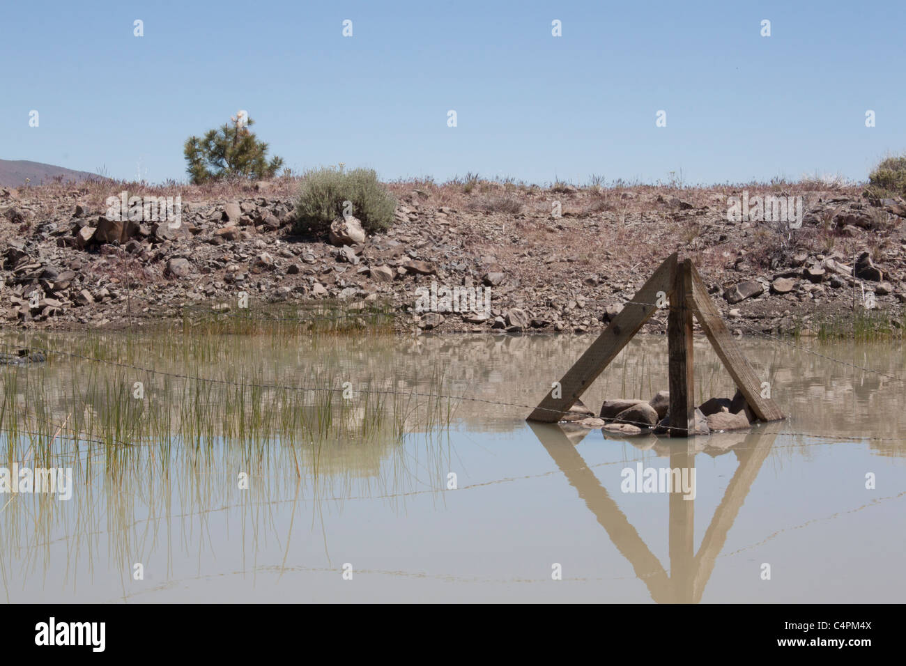 A small pond in the middle of the high desert Stock Photo - Alamy