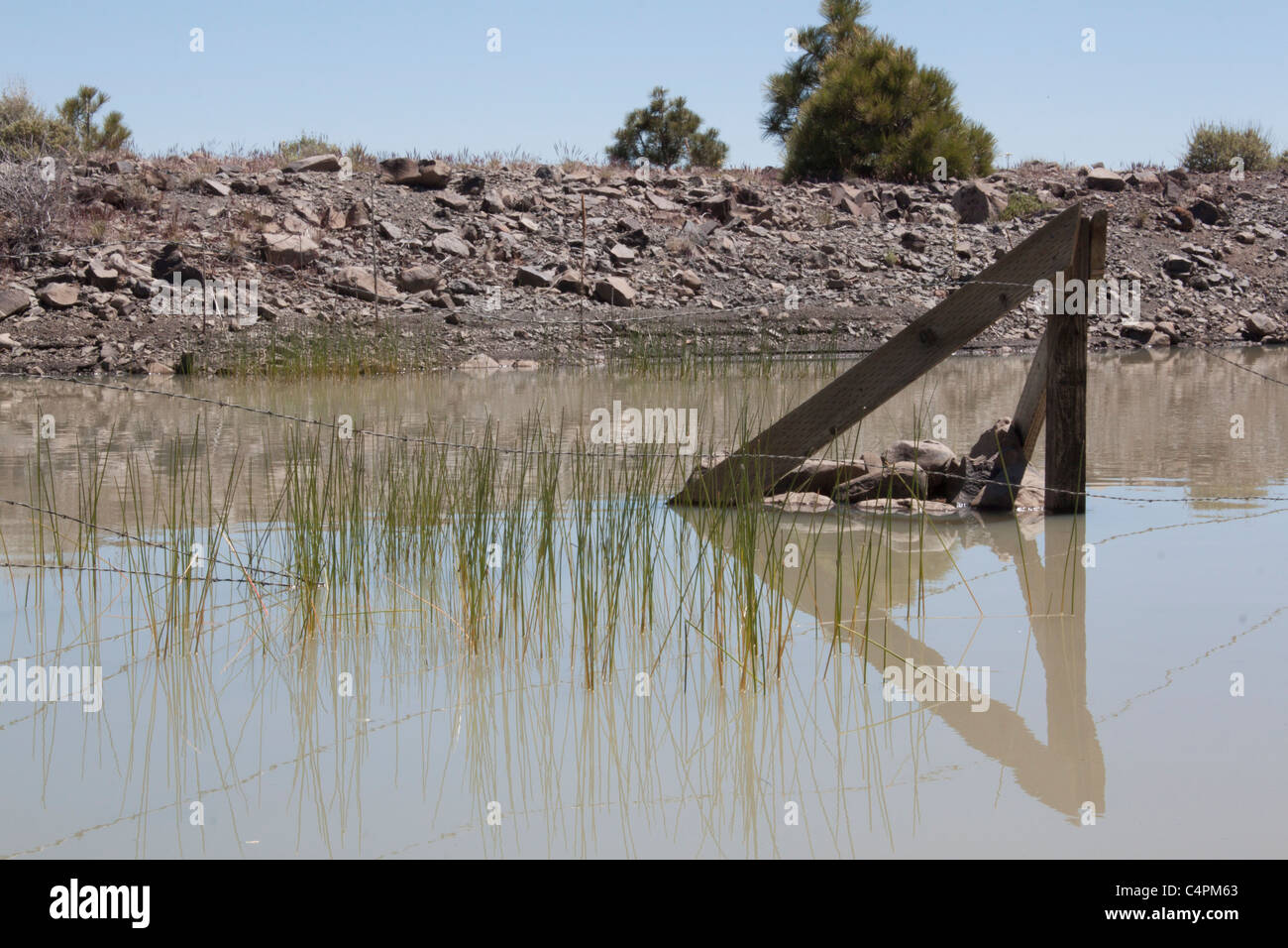 A small pond in the middle of the high desert Stock Photo - Alamy