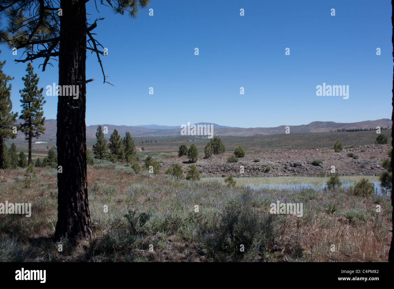 A watering hole in the high desert Stock Photo - Alamy