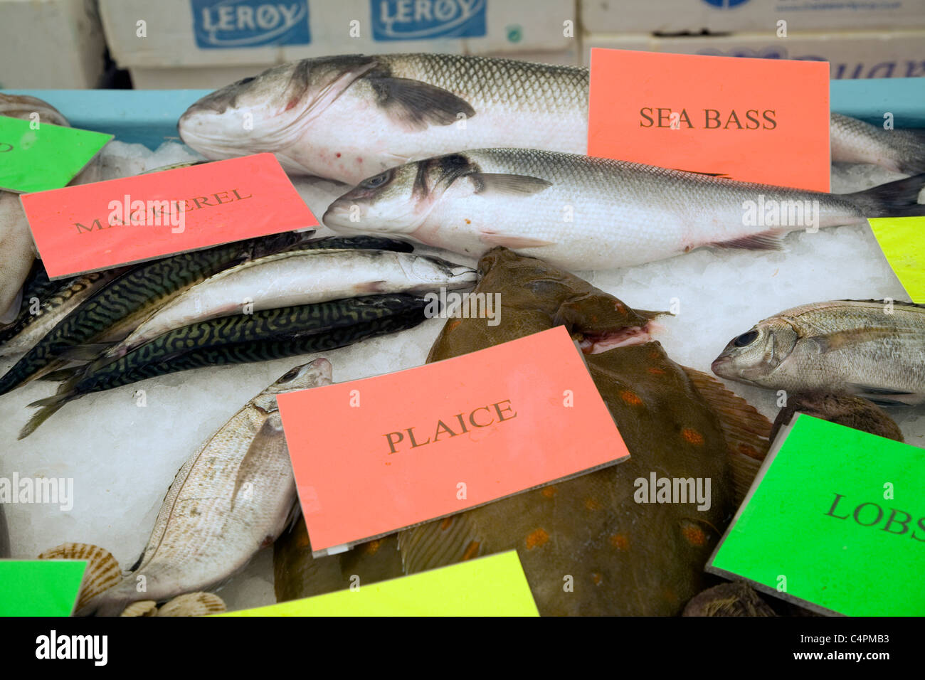 Fishmonger display of varieties of fish on ice table Stock Photo - Alamy
