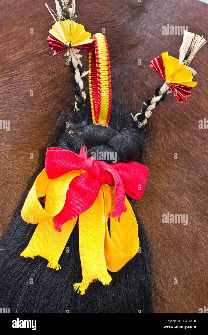 Horse rear end hi-res stock photography and images - Alamy