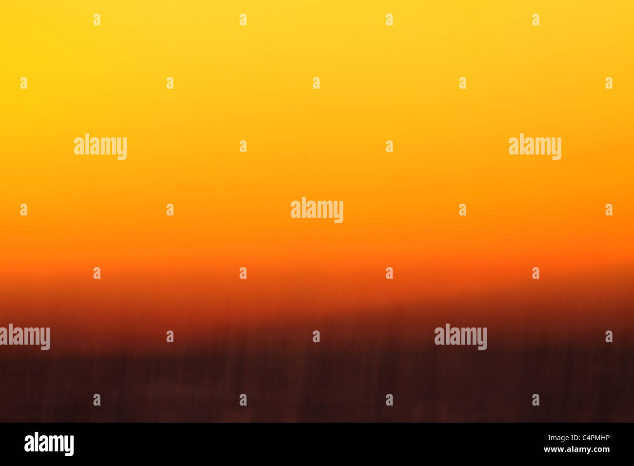 Muted yellow gold hi-res stock photography and images - Alamy