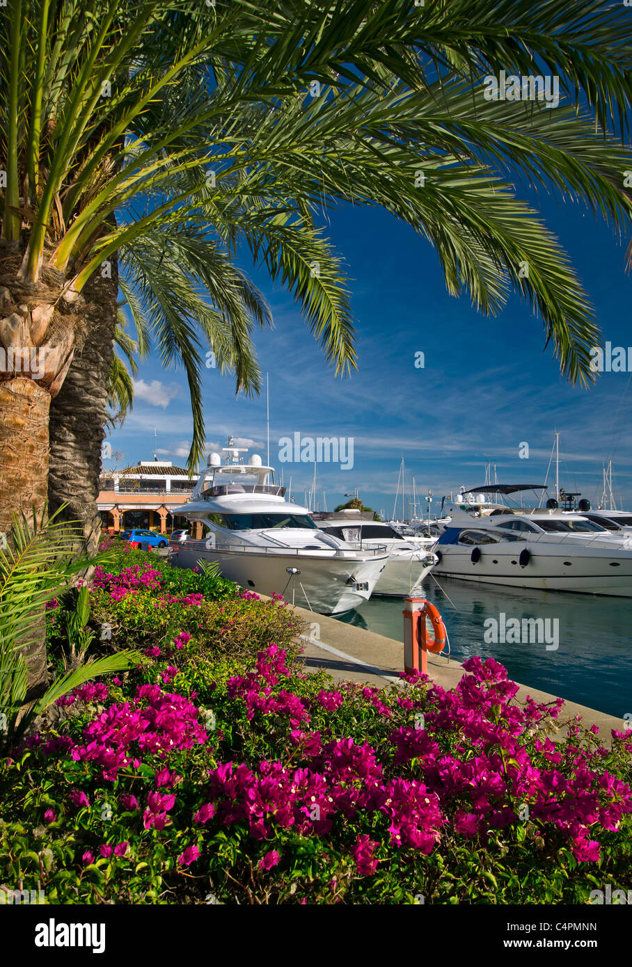PUERTO PORTALS Luxury motor yachts moored at Puerto Portals marina ...