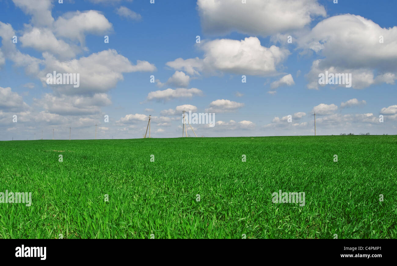 green grass and blue sky Stock Photo - Alamy