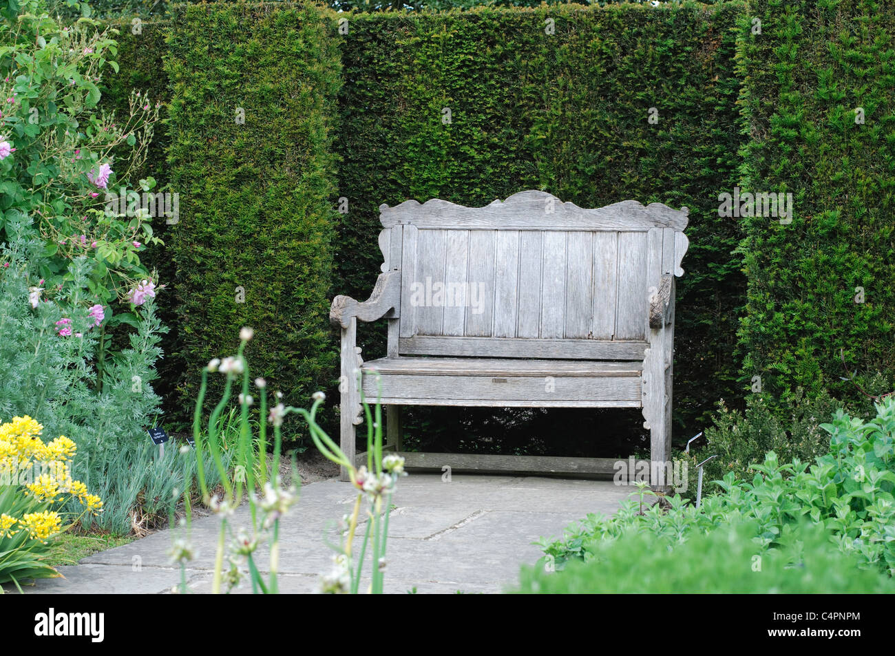 Oak garden bench hi-res stock photography and images - Alamy