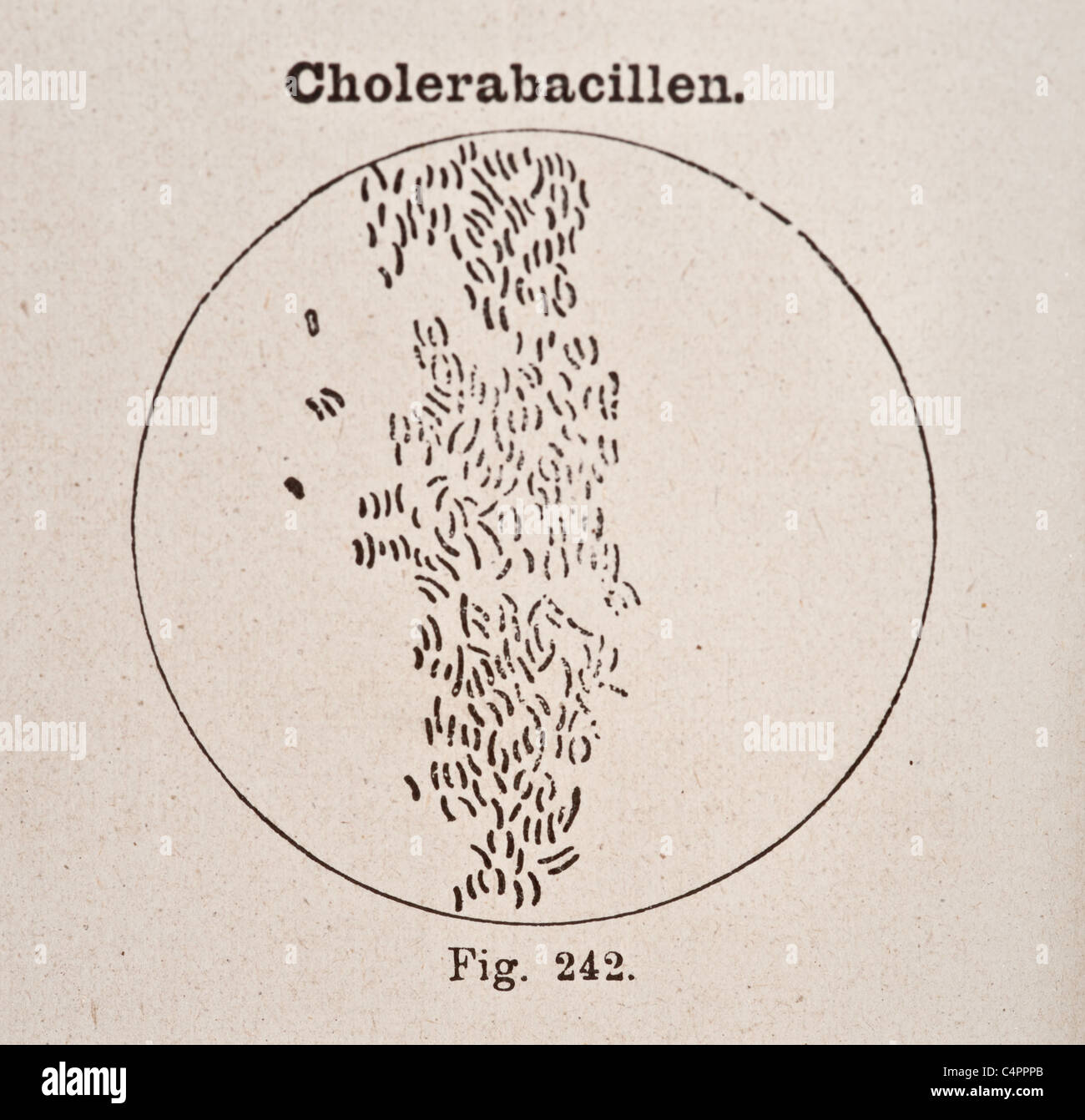 Cholera 1800s hi-res stock photography and images - Alamy