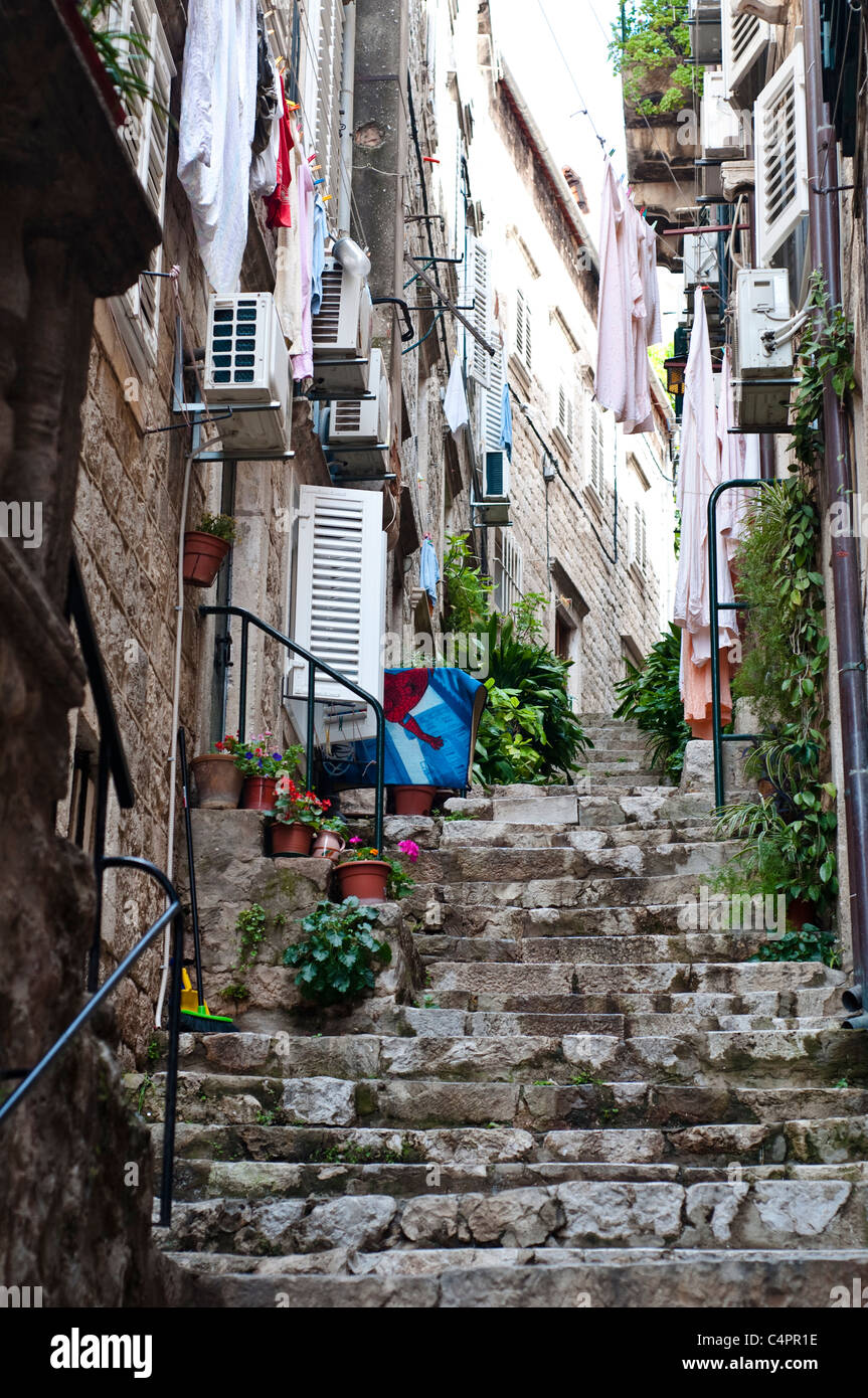 Narrow street with plants hi-res stock photography and images - Alamy
