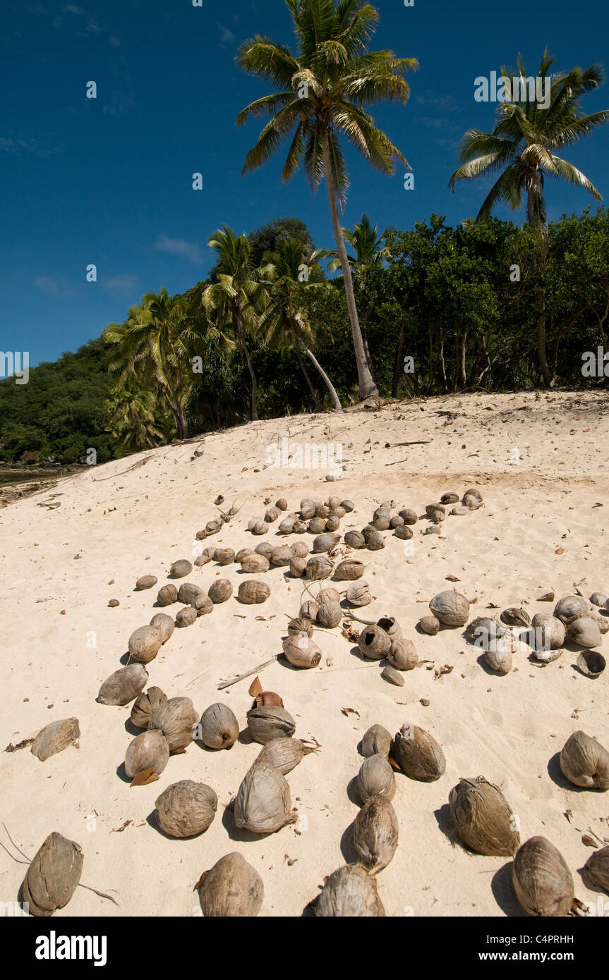 Castaway Island Fiji High Resolution Stock Photography and Images - Alamy