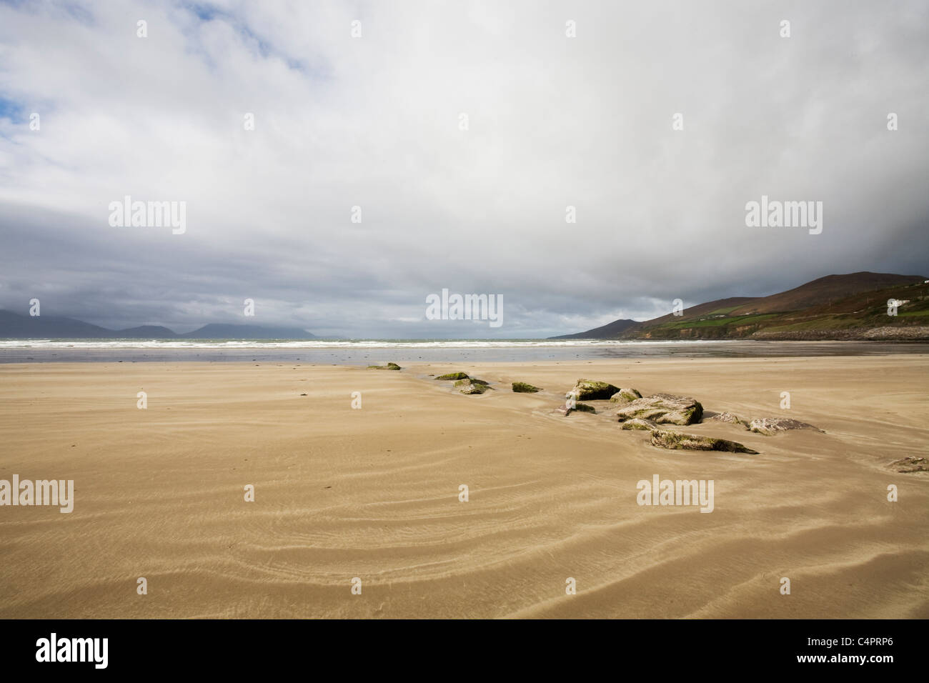 Inch Beach, Dingle Peninsula, County Kerry, Republic of Ireland Stock ...