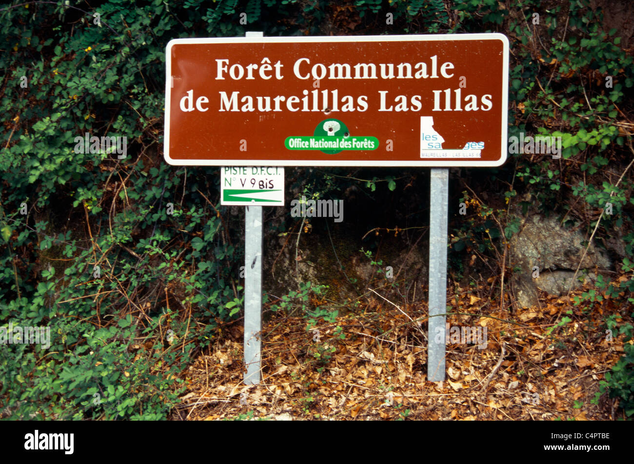 Foret communale hi-res stock photography and images - Alamy