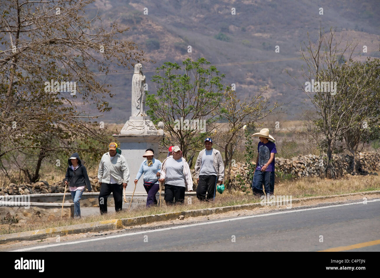 Talpa hi-res stock photography and images - Alamy