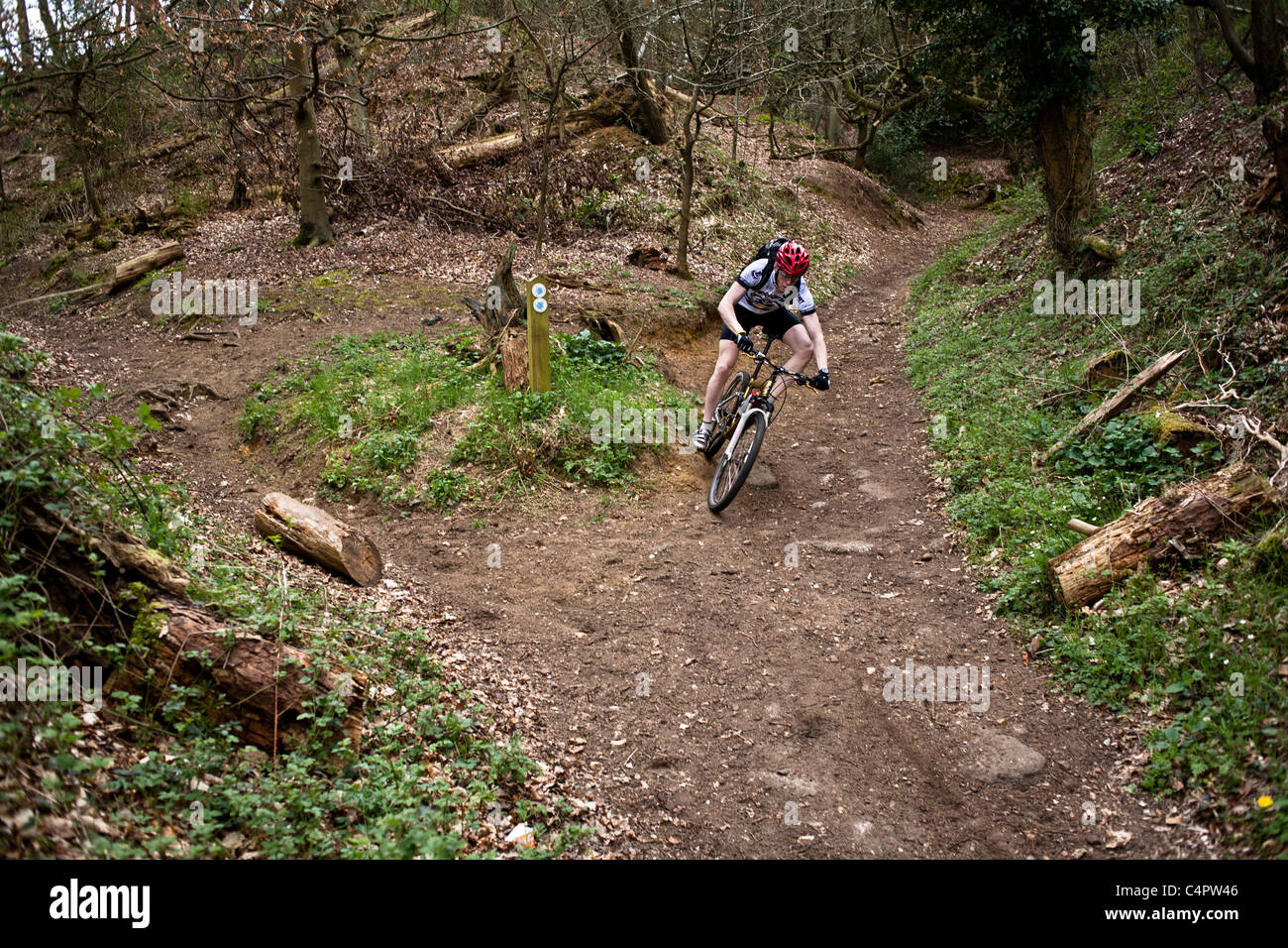 Rob Lee rides a Mountain Bike in Surrey Stock Photo - Alamy