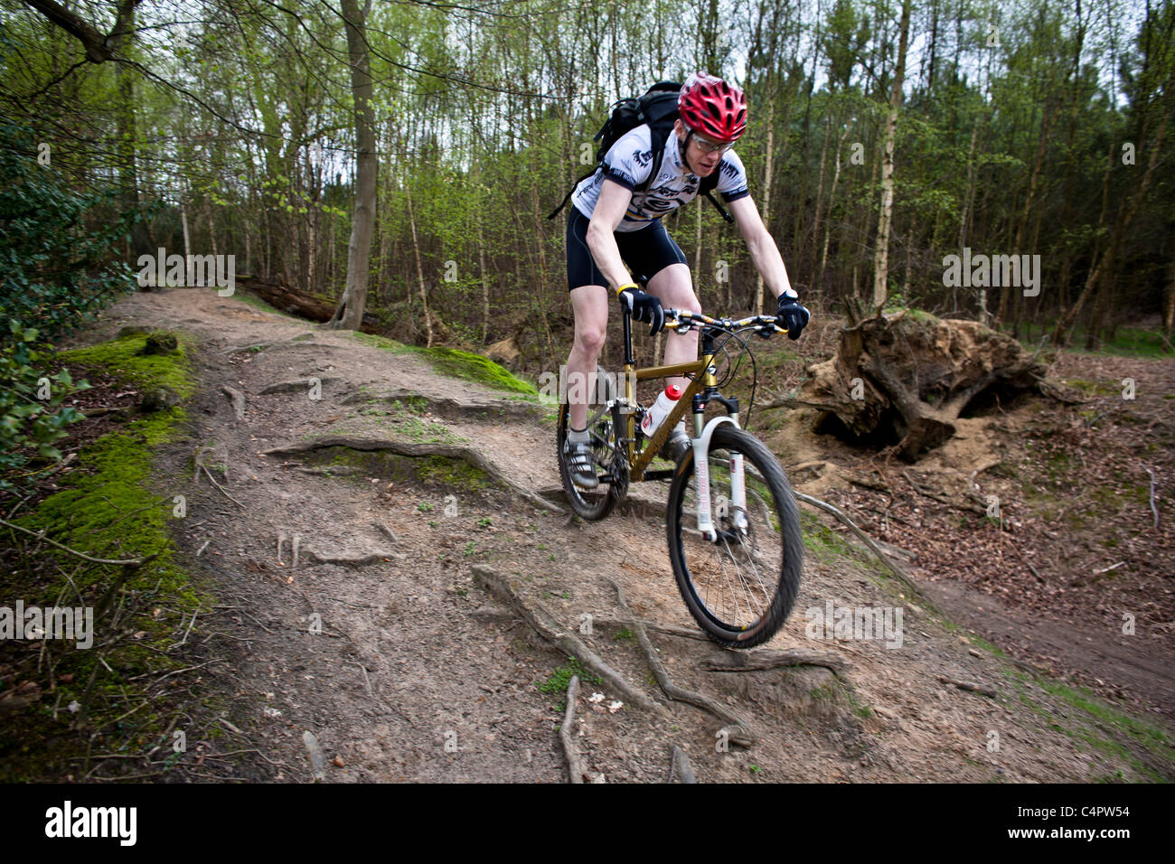 Rob Lee rides a Mountain Bike in Surrey Stock Photo - Alamy