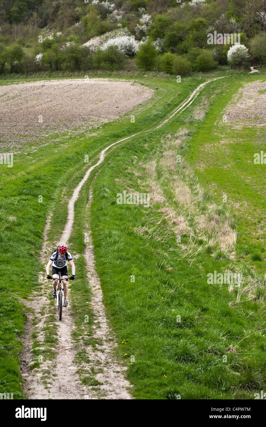 Rob Lee rides a Mountain Bike in Surrey Stock Photo - Alamy