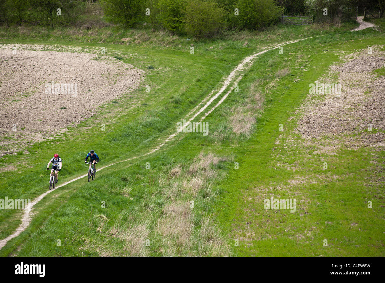 Rob Lee rides a Mountain Bike in Surrey Stock Photo - Alamy