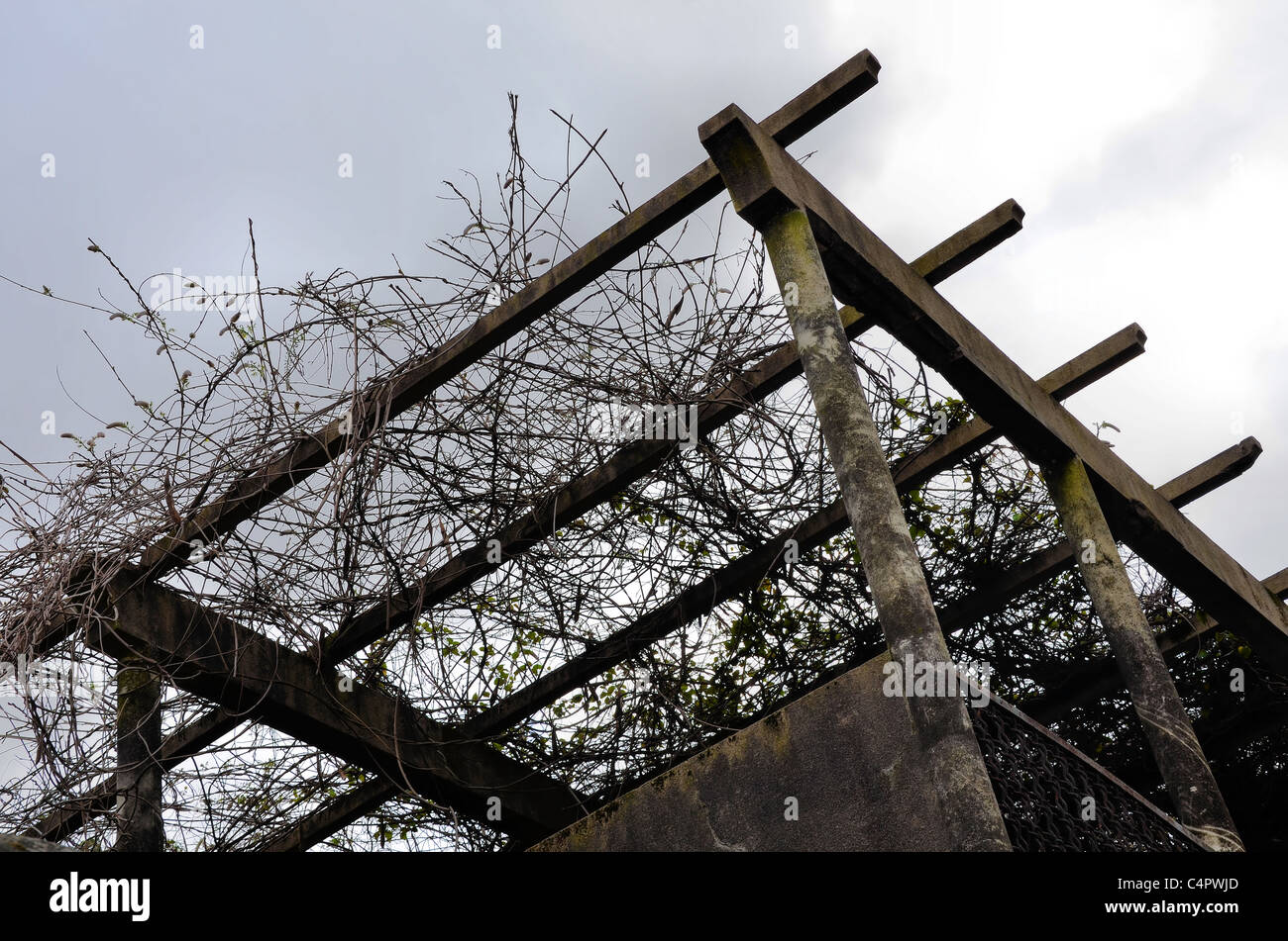Concrete structure designed to support plants Stock Photo - Alamy