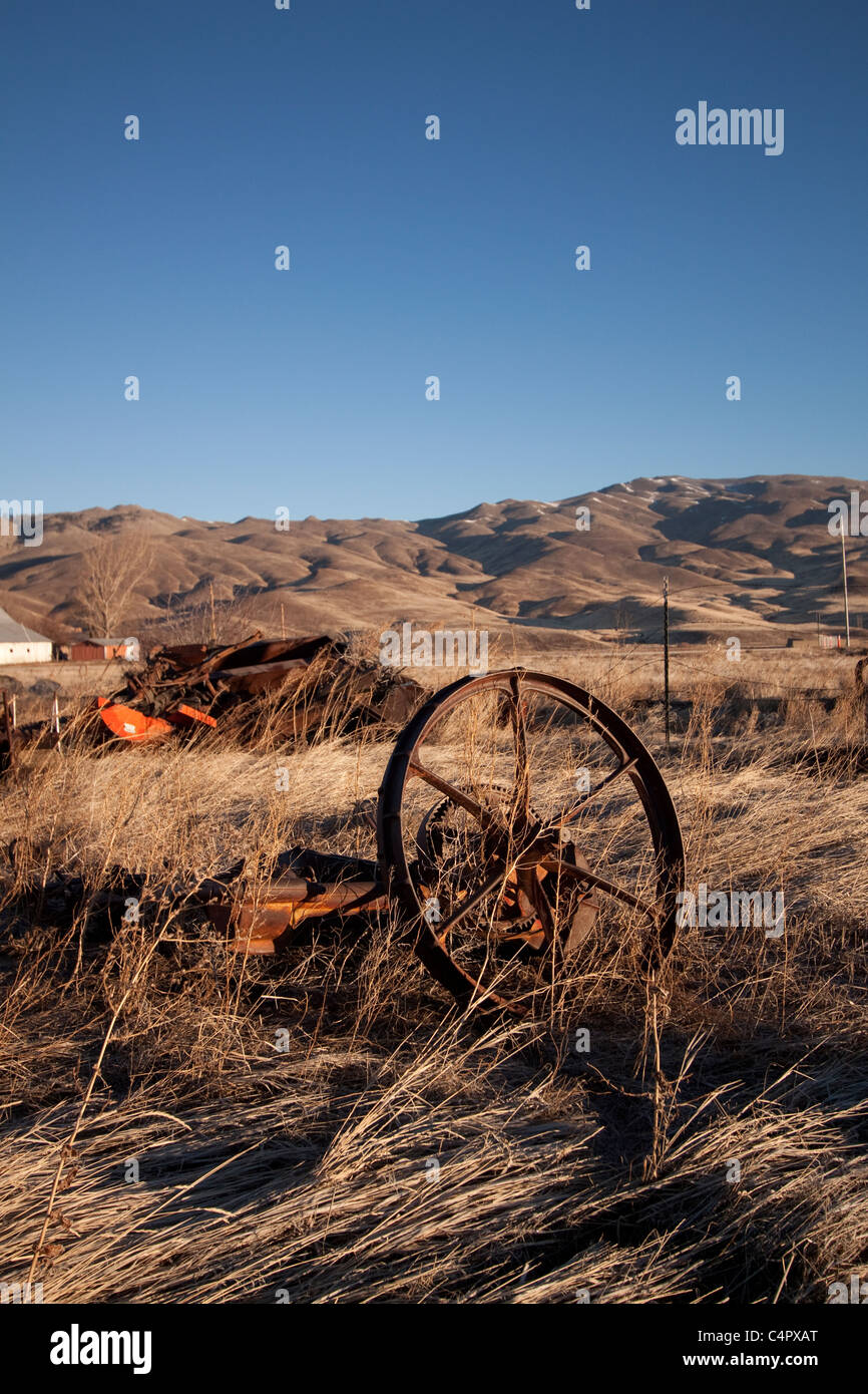 old rusty farm equipment in the middle of a field Stock Photo - Alamy