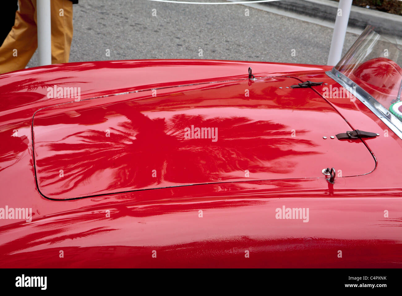 A Palm tree reflection in the hood of a vintage Ferrari at the 2011 ...