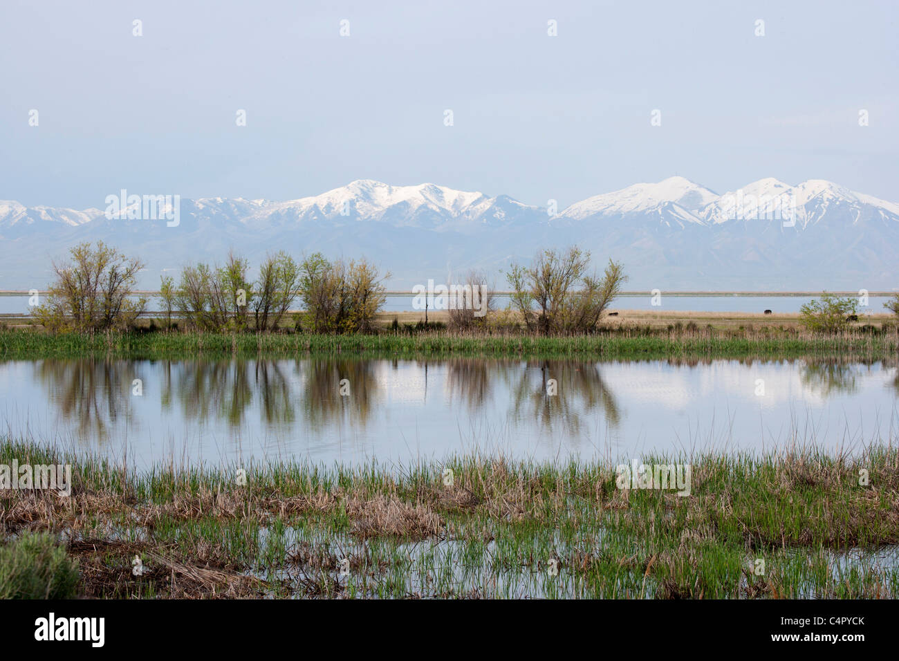 Farmington bay refuge hi-res stock photography and images - Alamy