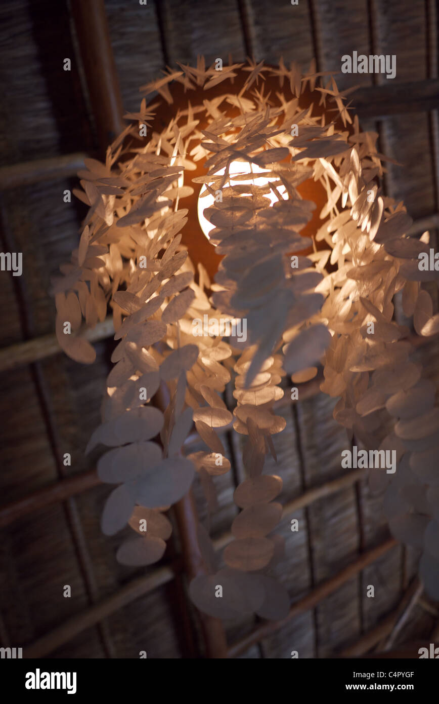 Lamp shell hi-res stock photography and images - Alamy