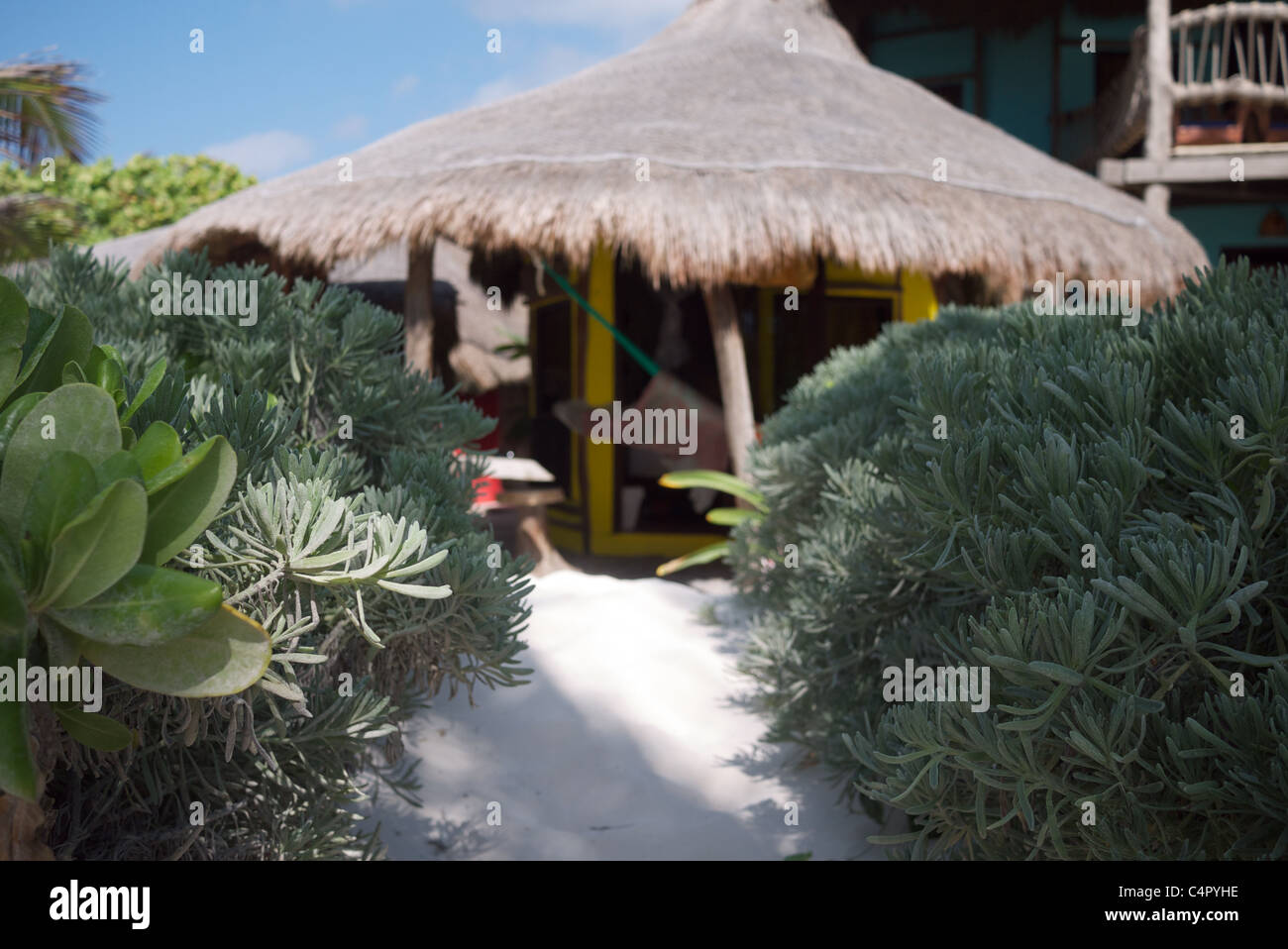 Mayan hut hi-res stock photography and images - Alamy