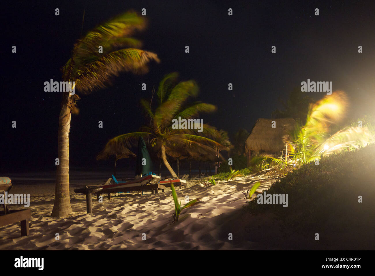 Palm tree night beach hi-res stock photography and images - Alamy