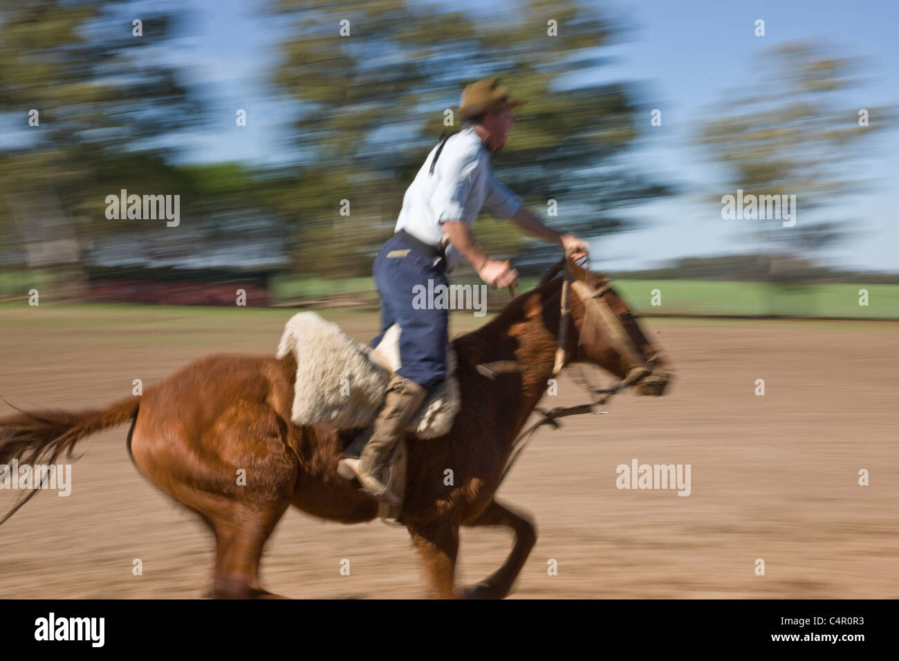 Gaucho riding on horse on a ranch, Argentina Stock Photo - Alamy