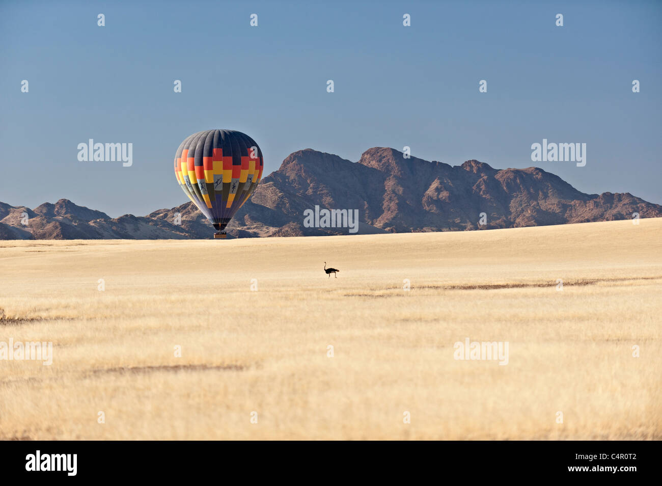 Ostrich and hot air balloon, Namibia Stock Photo - Alamy