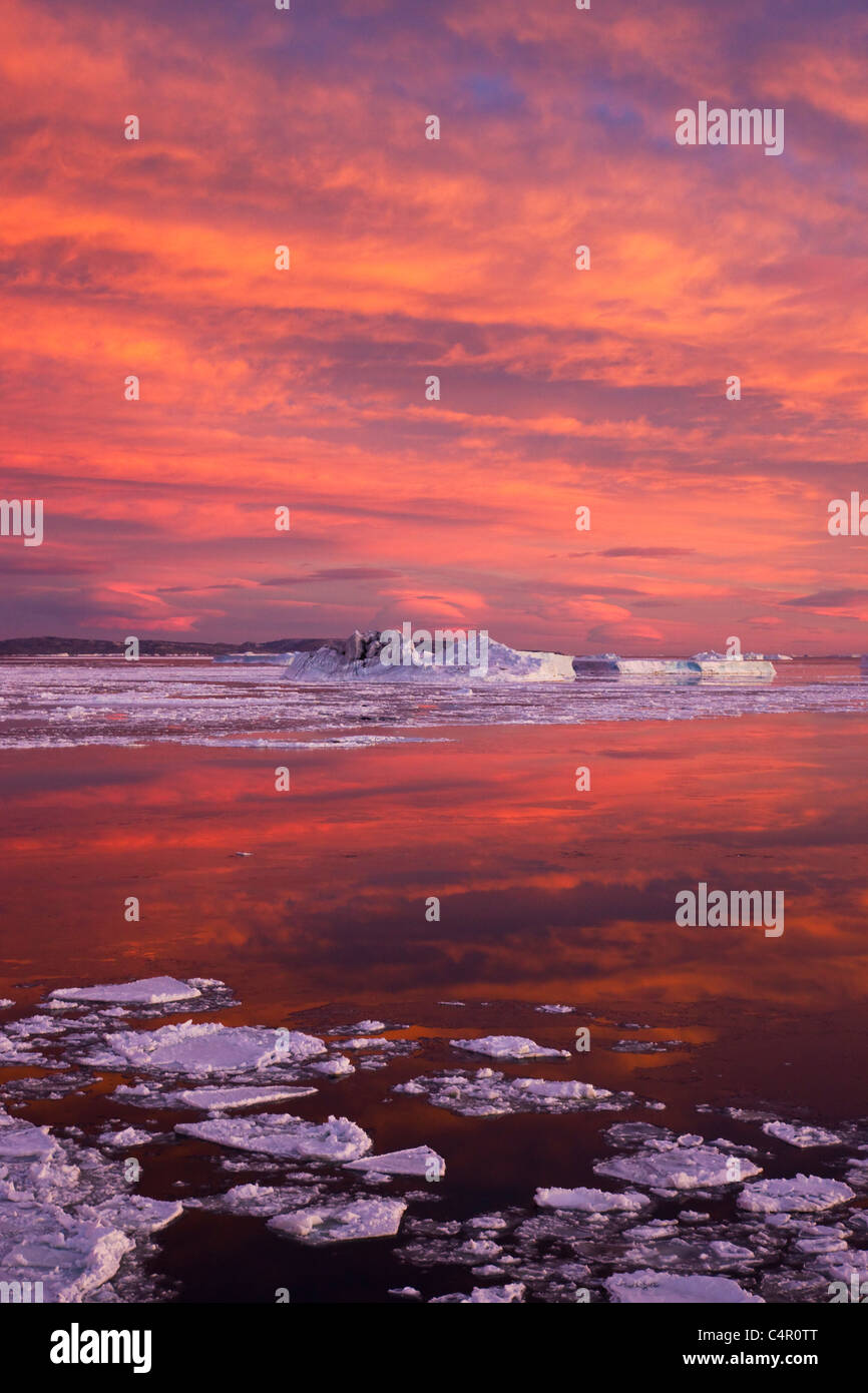 Huge iceberg and ice floes in the ocean at sunrise, Antarctica Stock ...