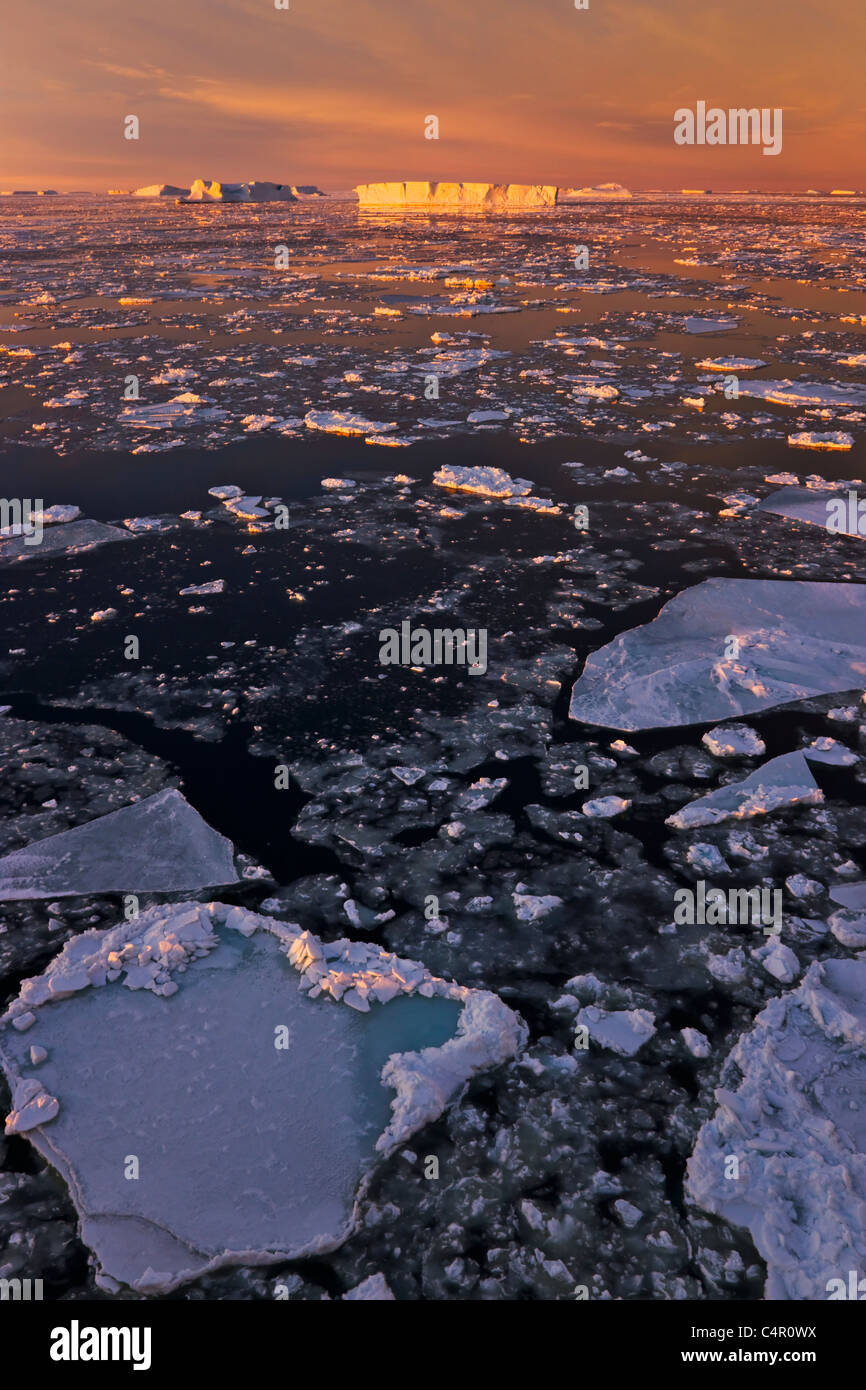 Huge iceberg and ice floes in the ocean at sunrise, Antarctica Stock ...