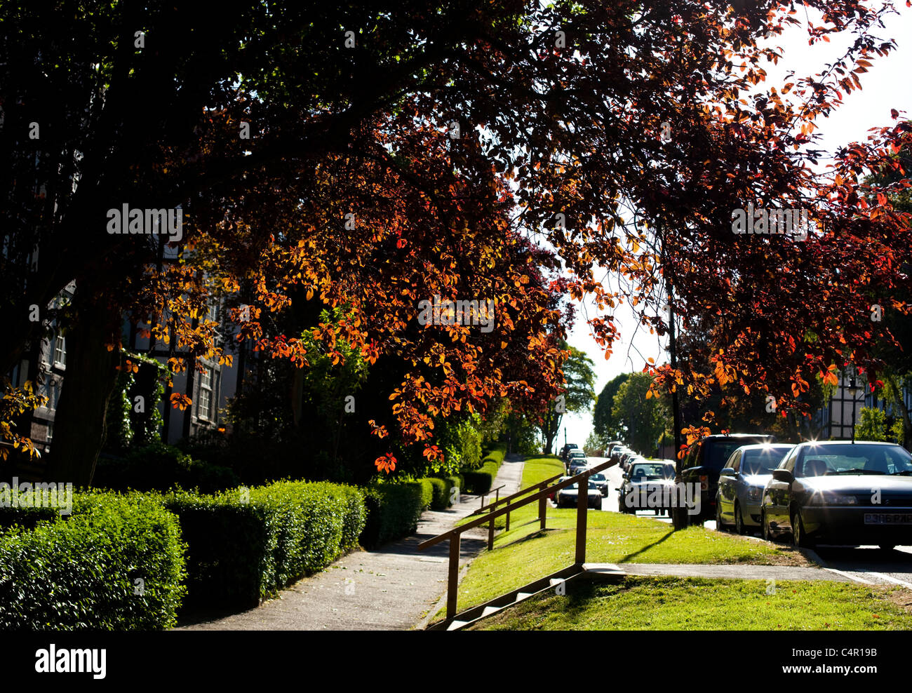 Makepeace Avenue in autumn, Holly Lodge Mansion, Highgate, Camden ...