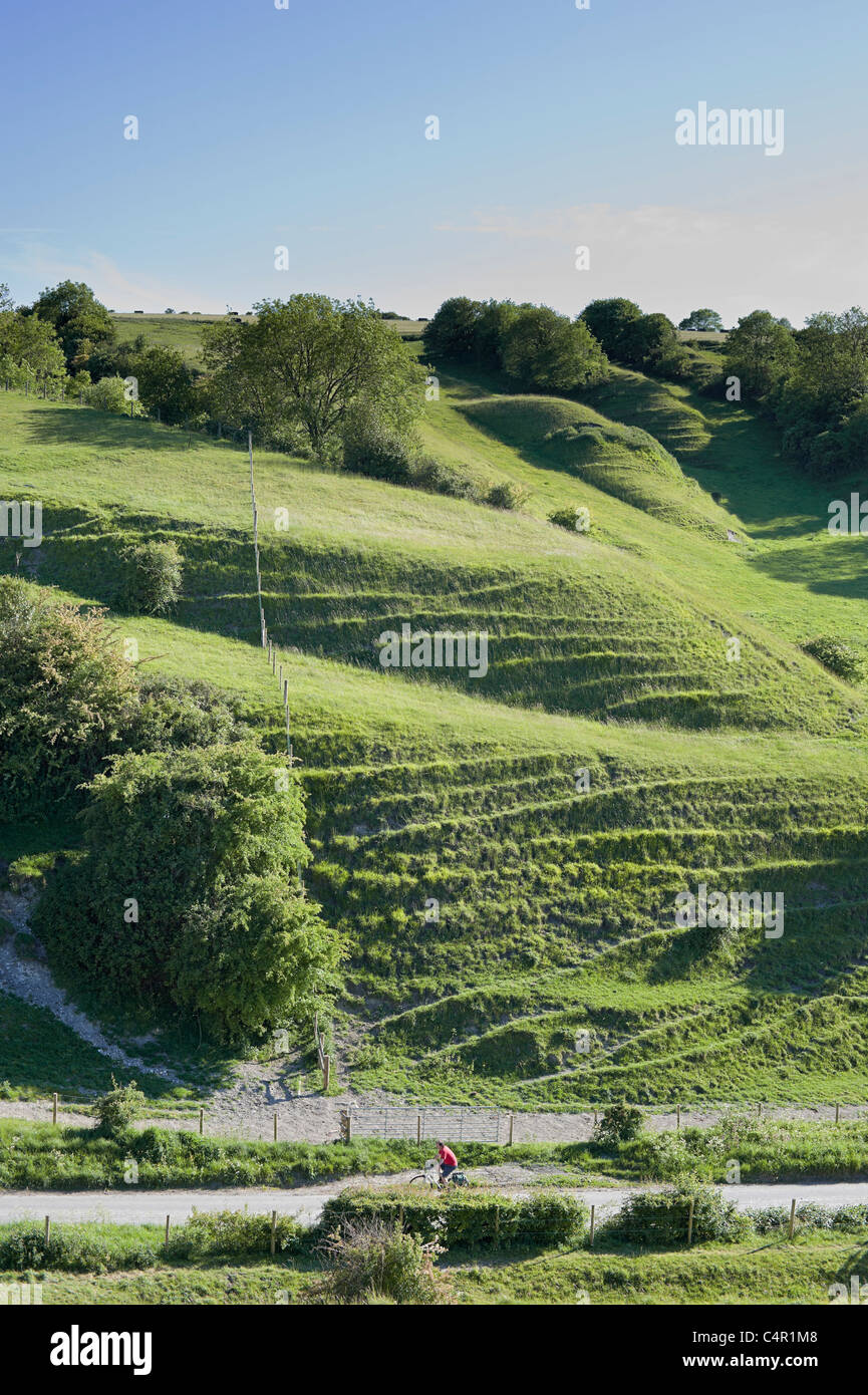 Chalk downs at Heddington, Wiltshire, England, United Kingdom, Great ...