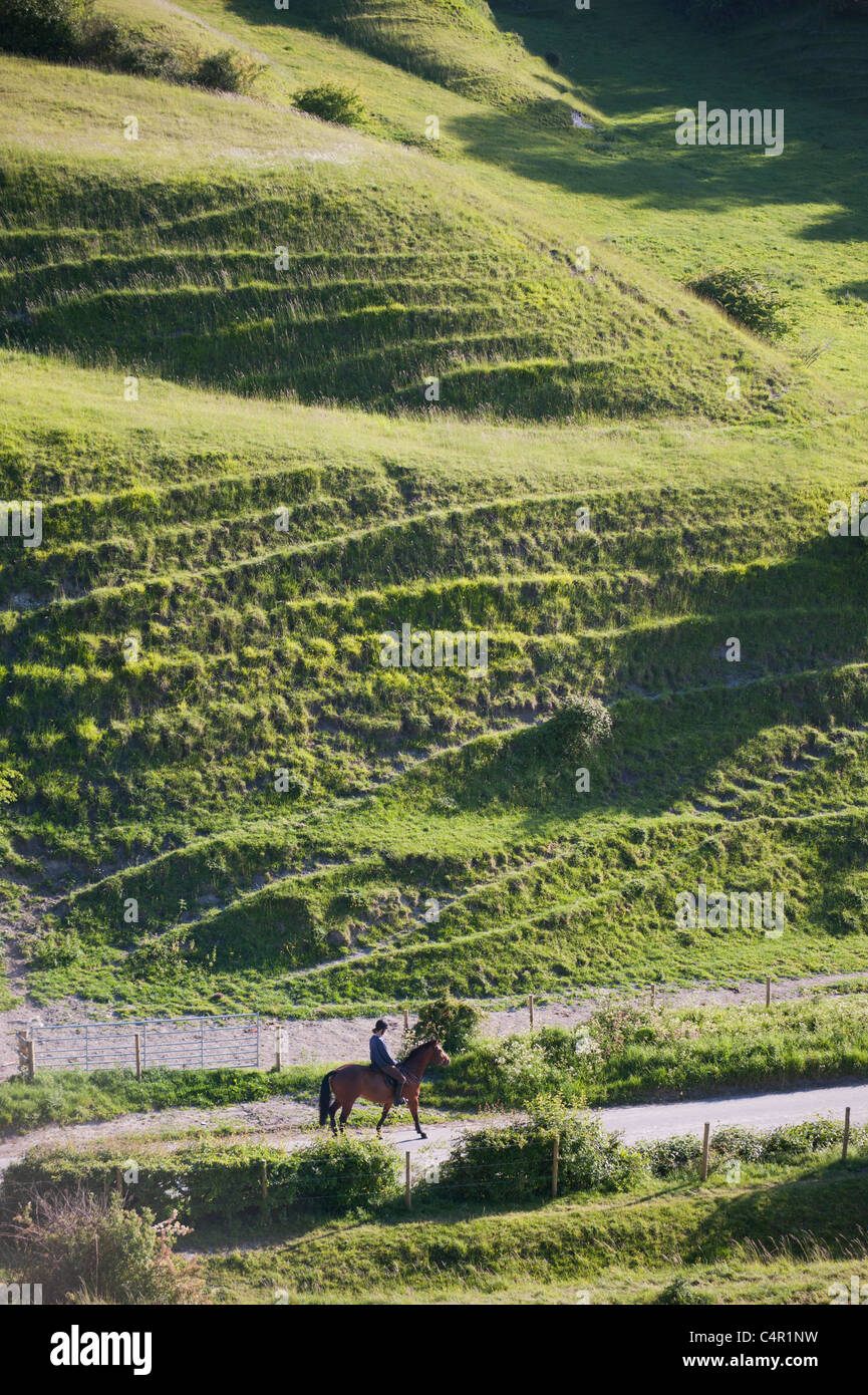 Heddington hi-res stock photography and images - Alamy