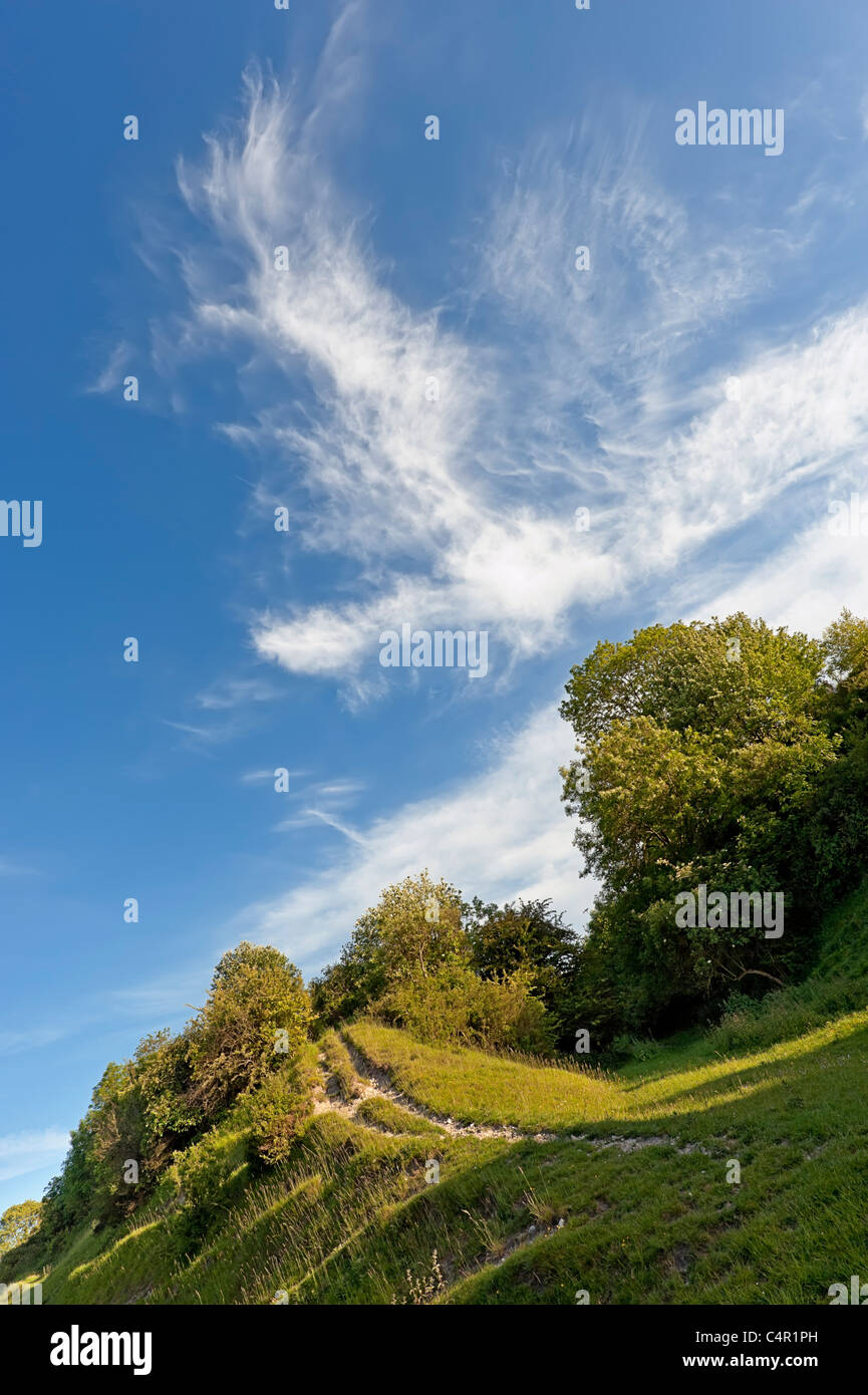 Heddington hi-res stock photography and images - Alamy