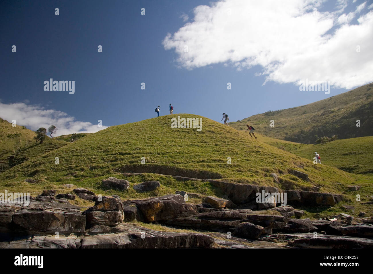 Transkei coastal hi-res stock photography and images - Alamy
