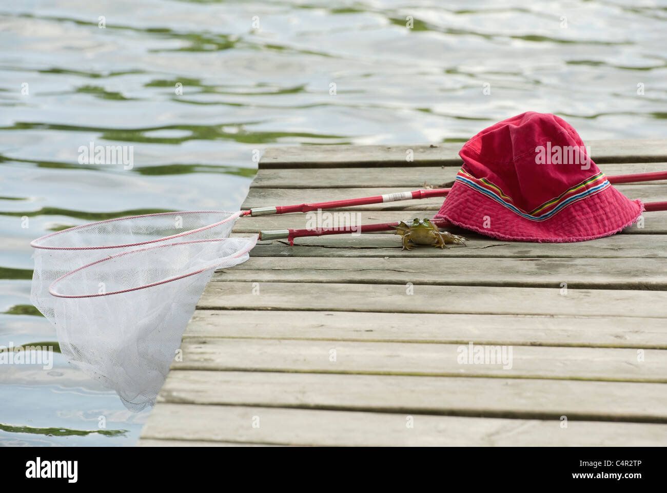 Young boy's sunhat, frog nets and bull frog sitting on dock by small ...